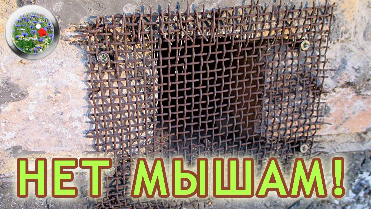 Как избавиться от мышей? Ставь сетку на продухи!