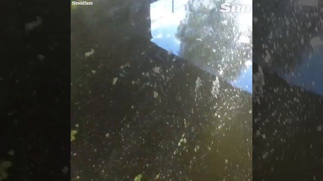 Авария на велосипеде