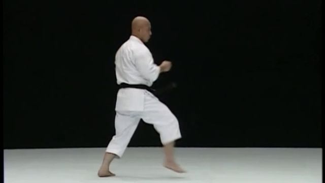 Рюэй-рю Нисейси Вид спереди