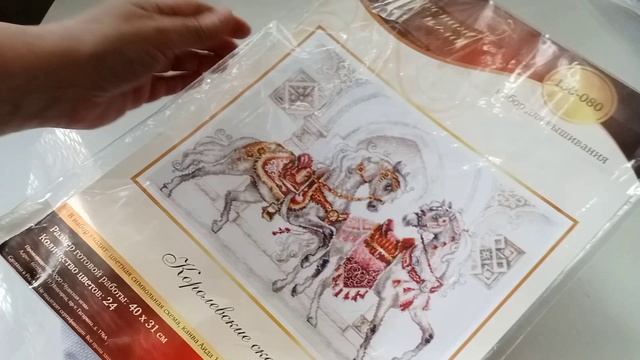 Вышивальные процессы, цветение моих растений и выступление моей дочки.