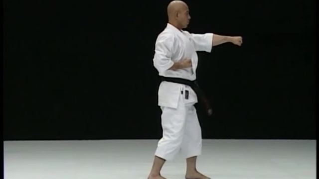 Рюэй-рю Нисейси Вид сзади