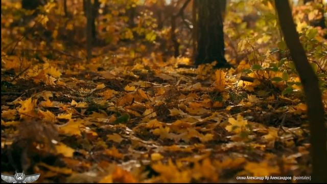 Боюсь, я взял себе за труд читает ПАВЛОВА БУКЧИН Онлайн-студия «Дом звука»