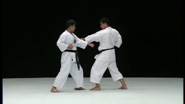 Рюэй-рю Нисейси Бункай кумитэ