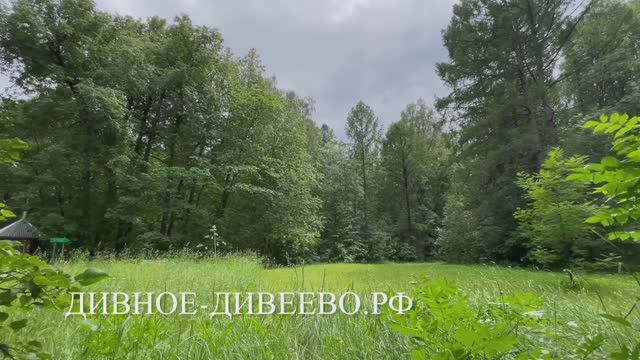 Звуки на Святой Курихе в восстанавливаемом Курихинском Знаменском женском монастыре, 14 июня 2025