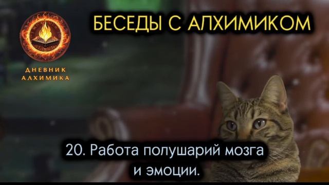 20. Работа полушарий мозга и эмоции. БЕСЕДЫ С АЛХИМИКОМ
