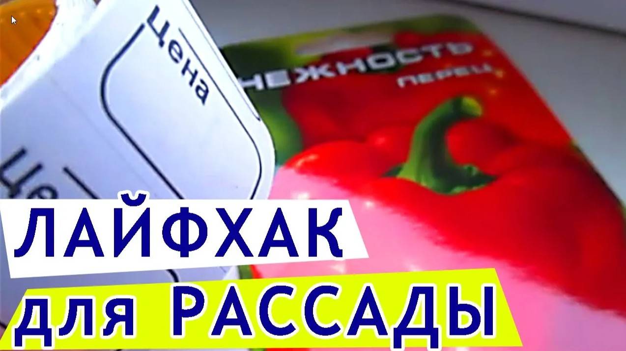 Ценники для рассады. Полезные советы садоводам-огородникам
