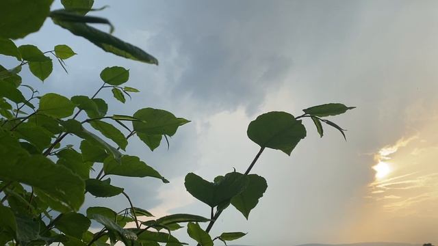 Relax. Гроза на закате