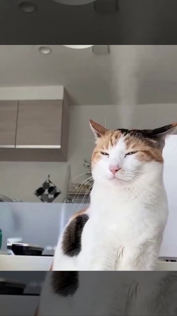 Слушая новости трудно не "закипеть".