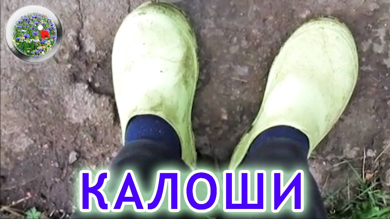 Галоши, калоши!