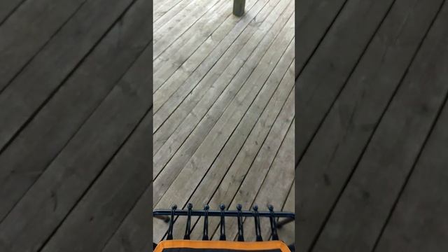 Селятино приключение Ромы и Маши беседка серия 5 мультики для детей (только для детей) 0+