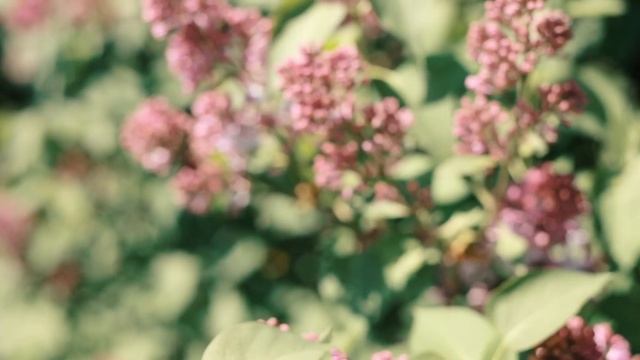 Танцуй словно никто не смотрит