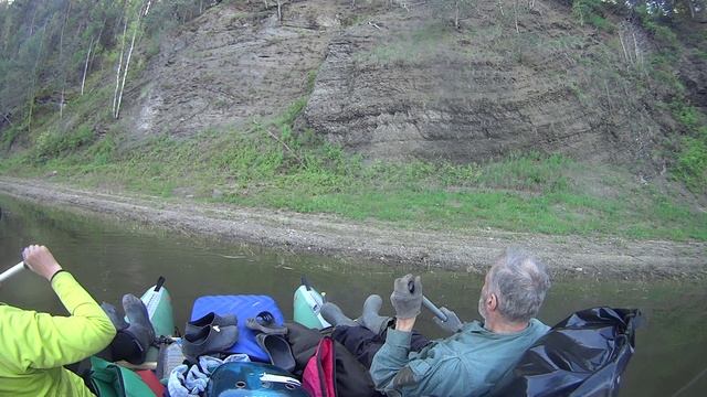 2025_05_25_2190_Енот