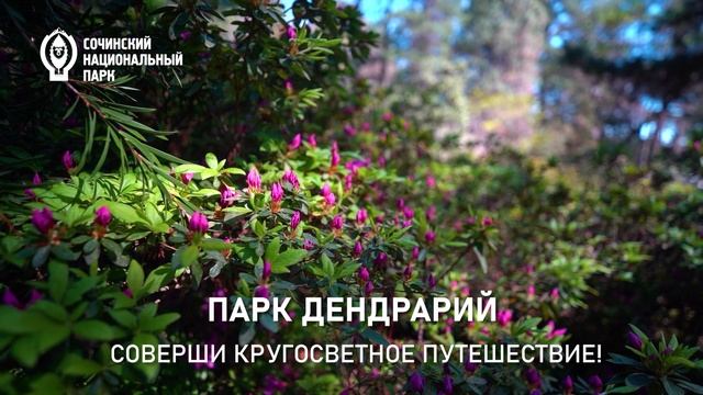 Парк Дендрарий