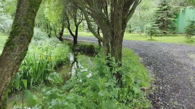 Прогулка на природе