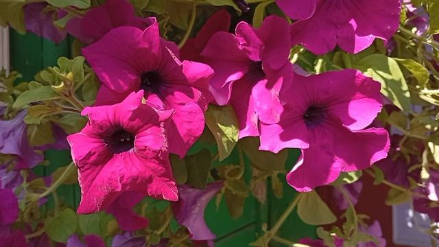 Подарок от мужа 😍