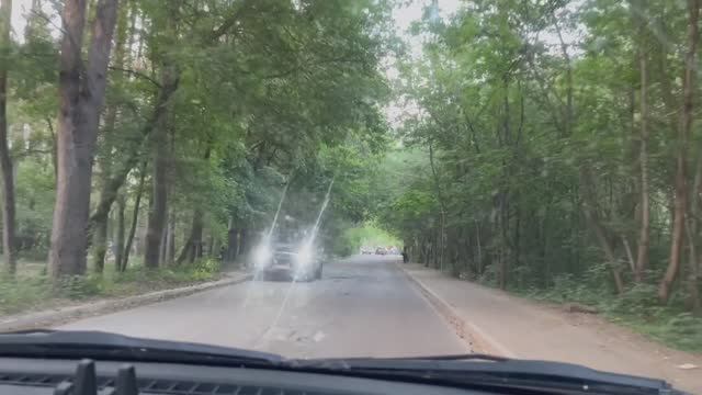 Воронеж. Лето. Позитифф! 9 января. Яндекс GO