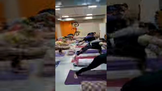 Йога для начинающих. Мантра, крия, хатха.