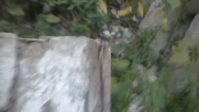 ВЛОГ // ЛЕСНЫЕ ФЕИ И КОНЮШНЯ