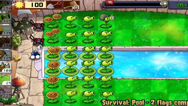 Выживание басейн