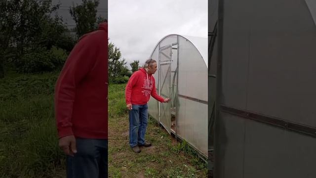 Теплица Дачная-Трёшка 3х8м. Обзор с дачного участка.