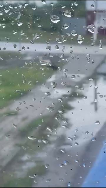 Прогулка аиста.