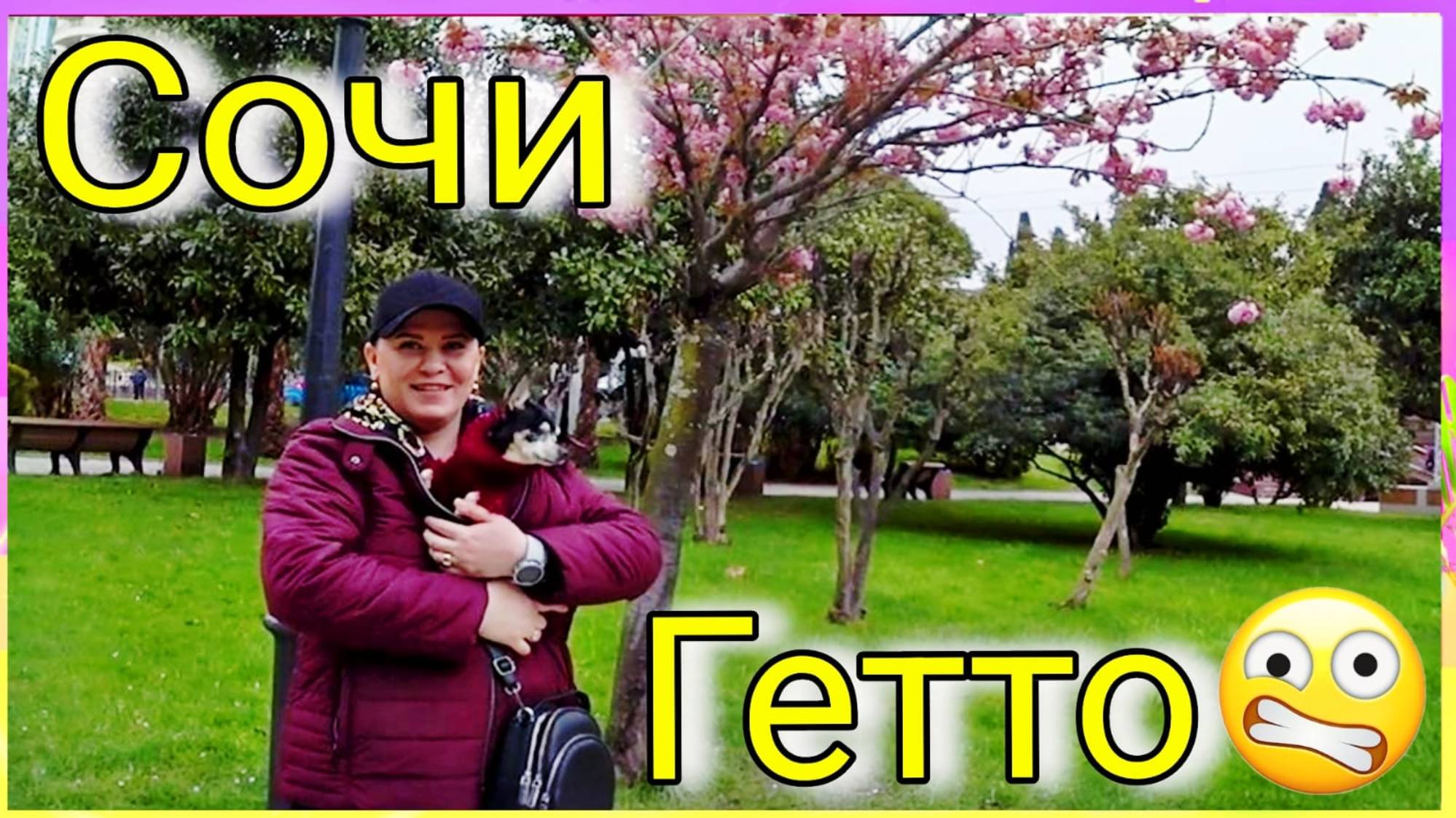 Сочи 2025. Переезд на Юг. Мы в шоке от увиденного. Японский сад в Сочи. МФЦ в Сочи