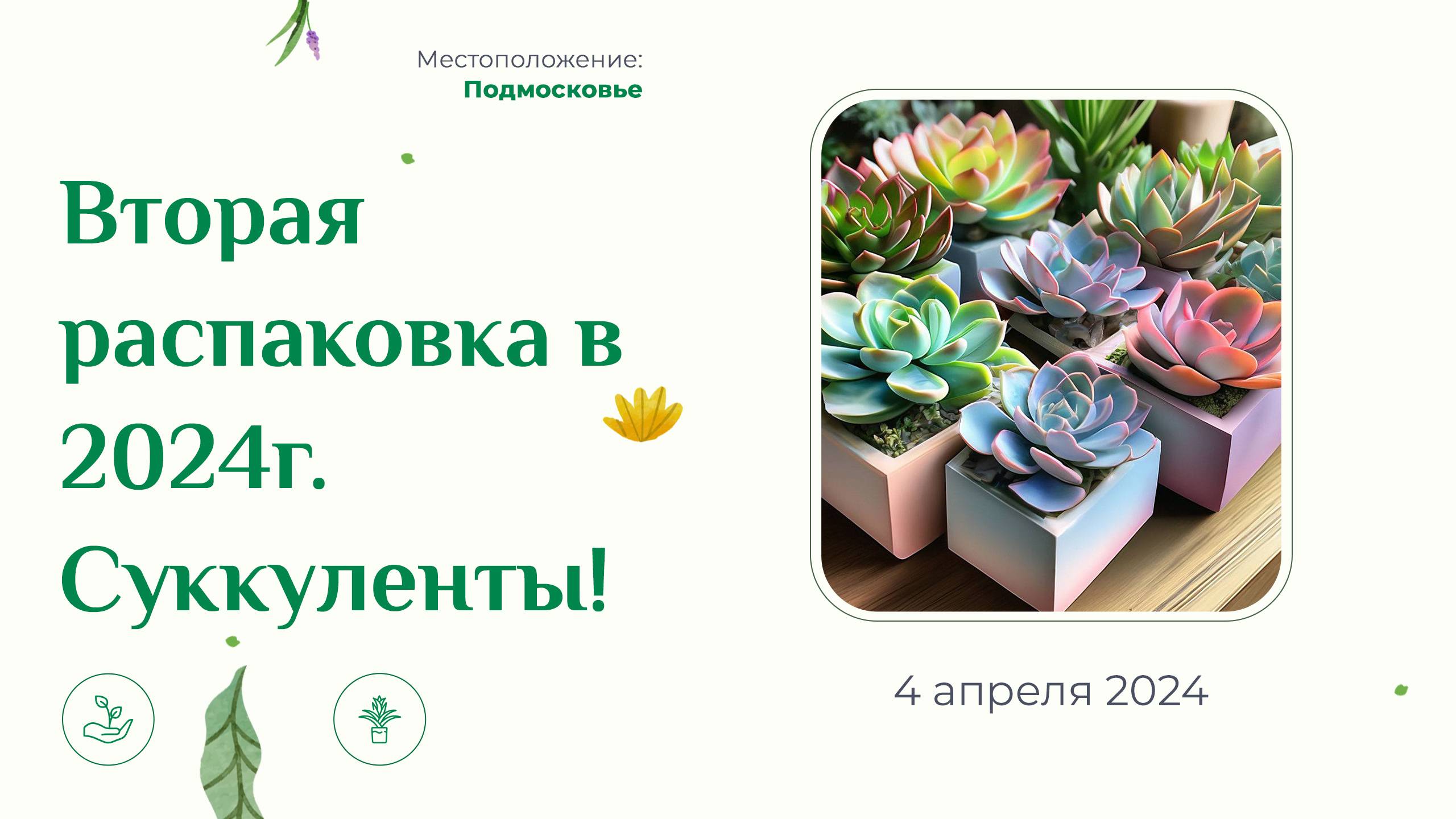 Распаковка посылки номер 2, из Оренбурга. Заказала красивые эхеверии.