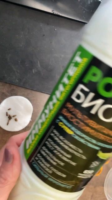 Остеоспермум. Решила не ждать марта а посадить сегодня 28 февраля! #цветы #садоводничество