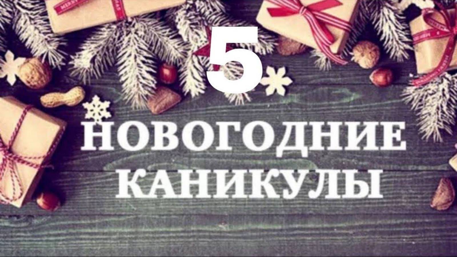 Новогодние каникулы #5 / Республика Карелия