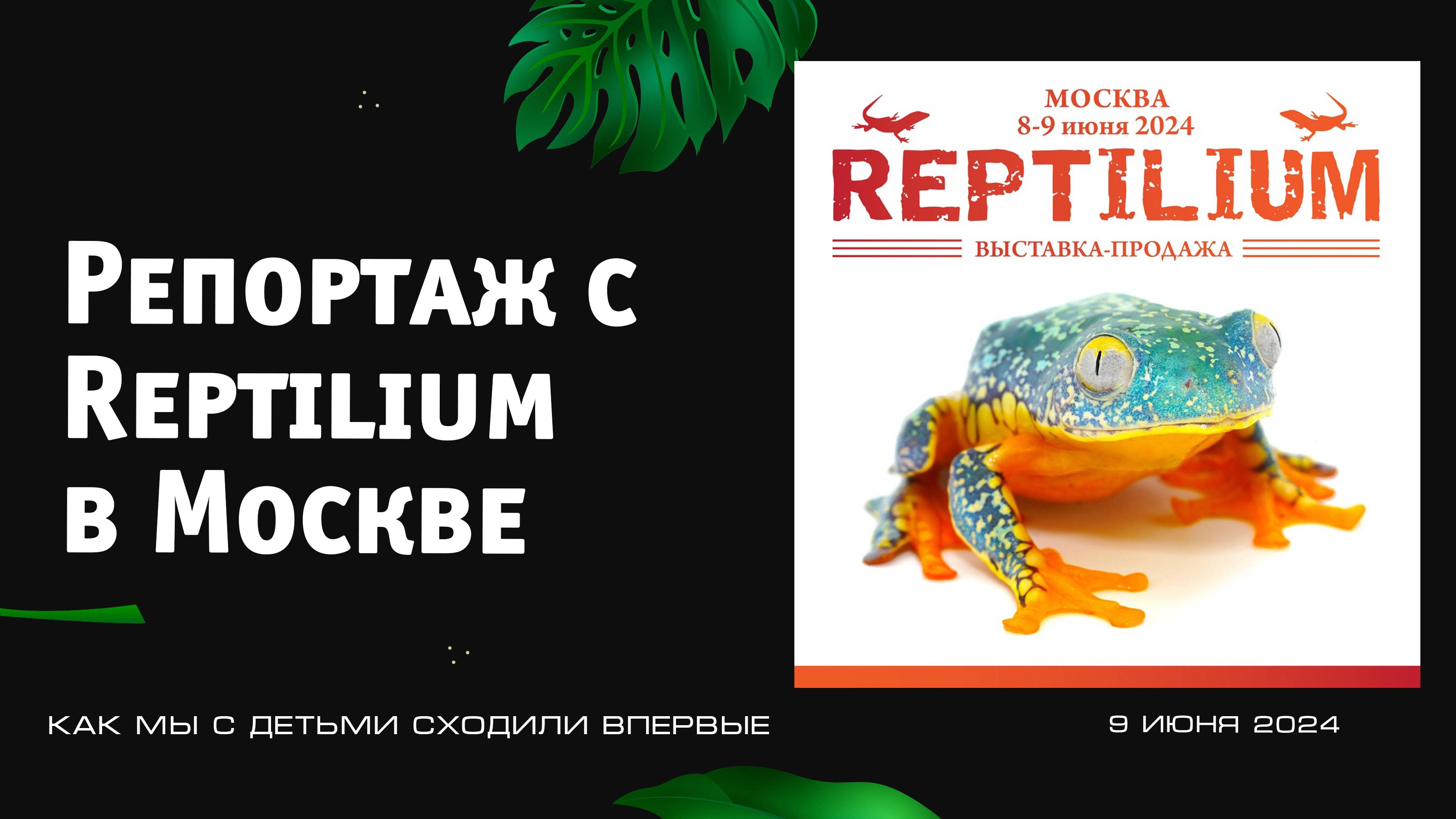 REPTILIUM 9 июня 2024 в Москве, ходили с детьми впервые на выставку экзотических животных