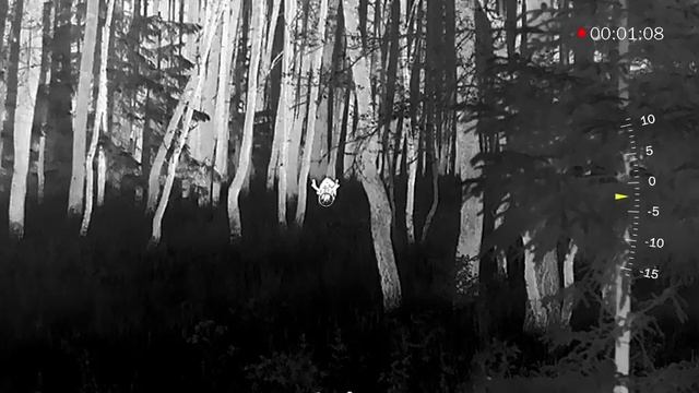 Тепловизор ELECTRON 1.4x25мм видит зверя в тумане