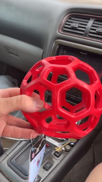 Игрушка для удава, чтоб разнообразить проживание в контейнере в первый год жизни. Место поползать.