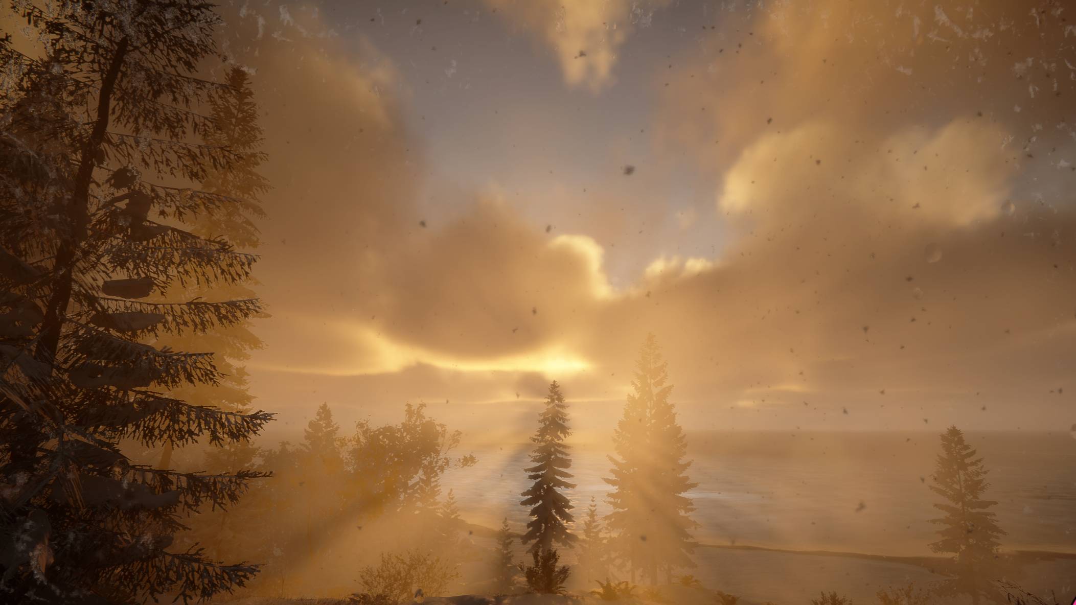 Sons of the Forest ➢ 20 серия - РАЗОЧАРОВАНИЕ!