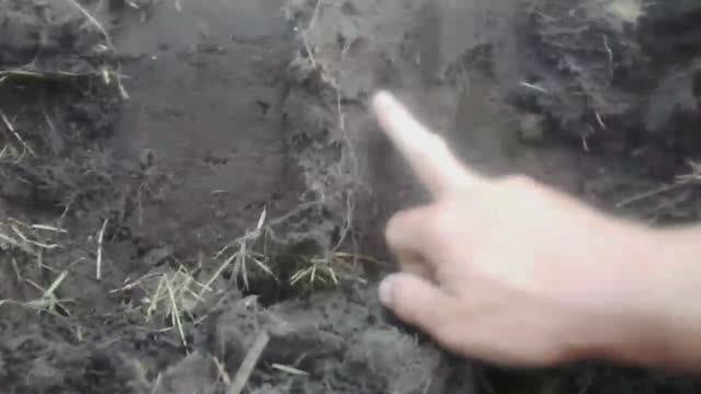 Ленивая грядка (делай раз)