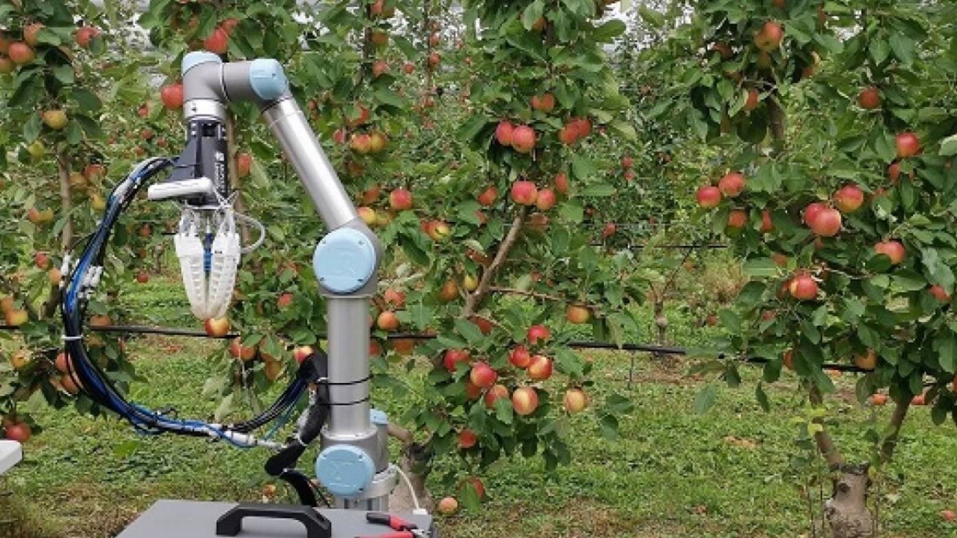 О организации труда в мини питомнике и мини саду.