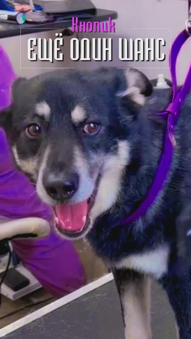 "Прощай, приют!" ❥ Приют в Малинках