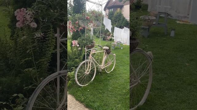 Женин сад - новая локация для ваших фотосессий, Никольское , Балашиха