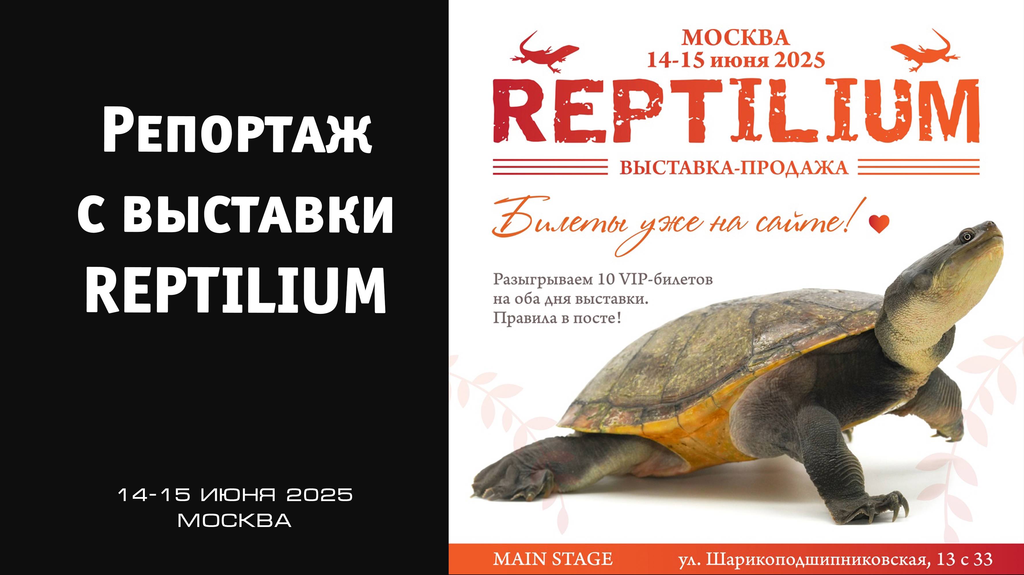 Репортаж с Рептилиума выставки продажи экзотических животных. Москва, 14-15 июня 2025