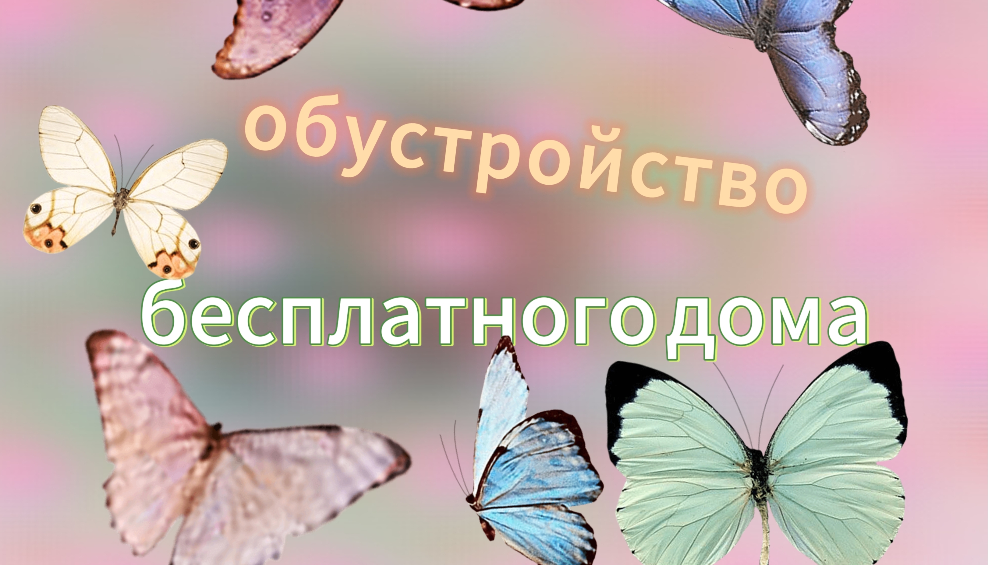 обустройство бесплатного дома тока-бока-toca-boca -toca- Boca💚