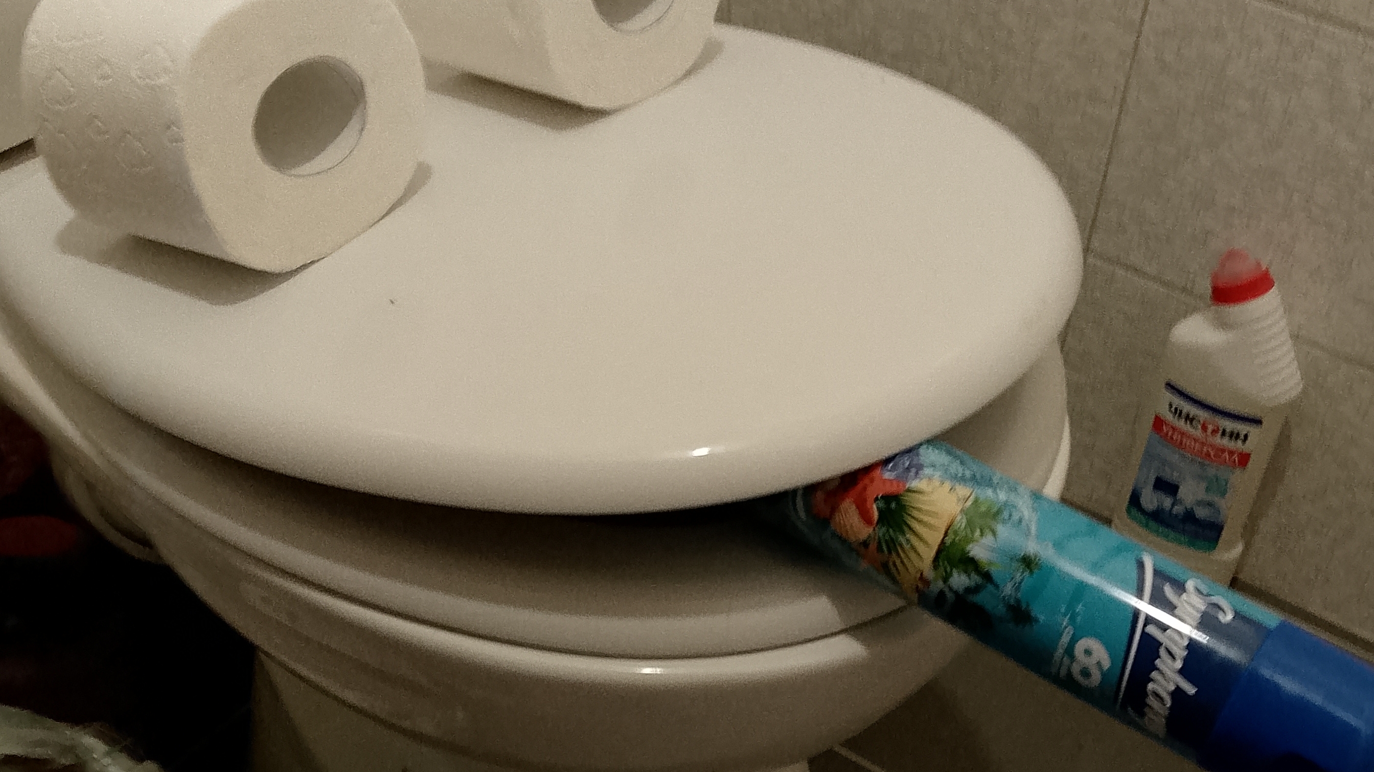 туалет задымил