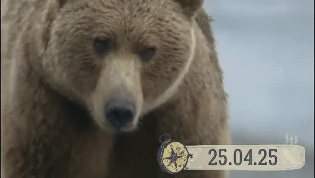 25_04_25_Сюжеты,_сценарии_и_роли,_которые_разыгрывают_управляющие