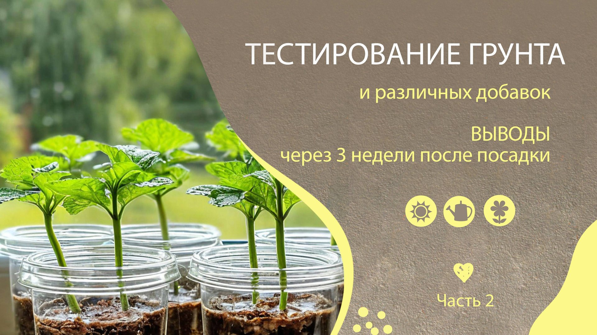 Тестирование грунта из магазина Светофор. Часть 2. Итоги