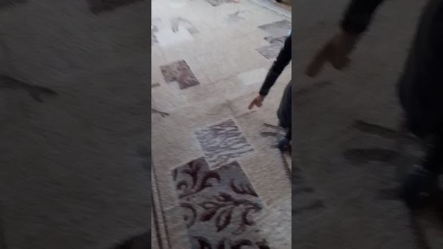 милый котик 5 серия  3 сезона