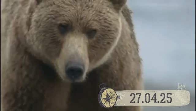 27_04_25_Сюжеты,_сценарии_и_роли,_которые_разыгрывают_управляющие