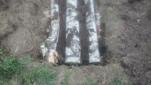 Ленивая грядка (делай три)