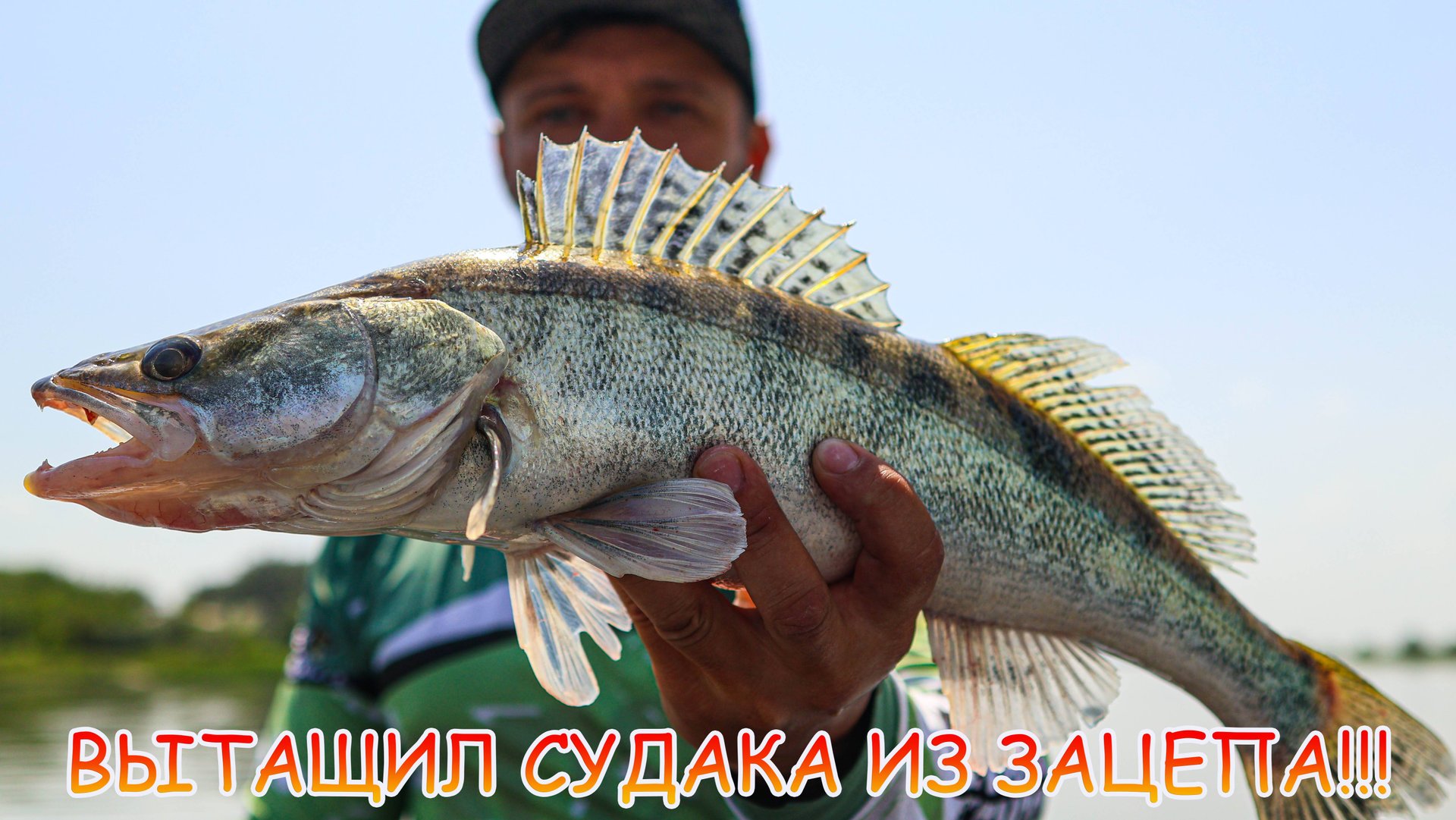 СУДАК стоит в зацепах! Как его оттуда выманить? ДЖИГ ловит 💪