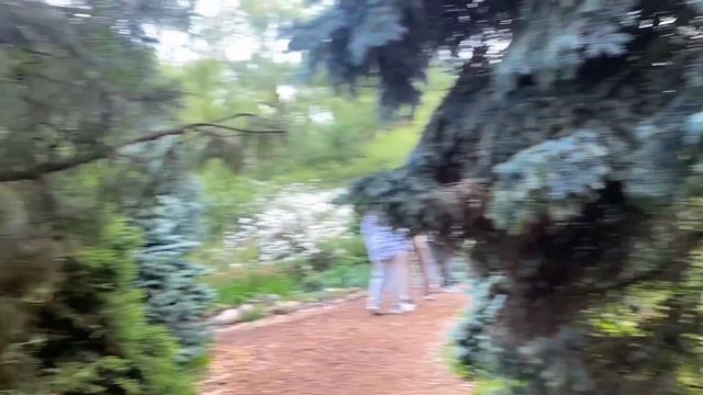 Прогулка по Москве. Аптекарский огород. Сиреневые облака, водопад, сад лекарственных трав.