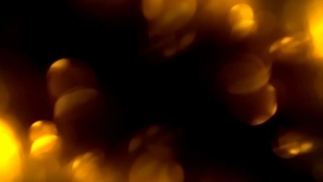 Блеск янтаря / Футаж Боке