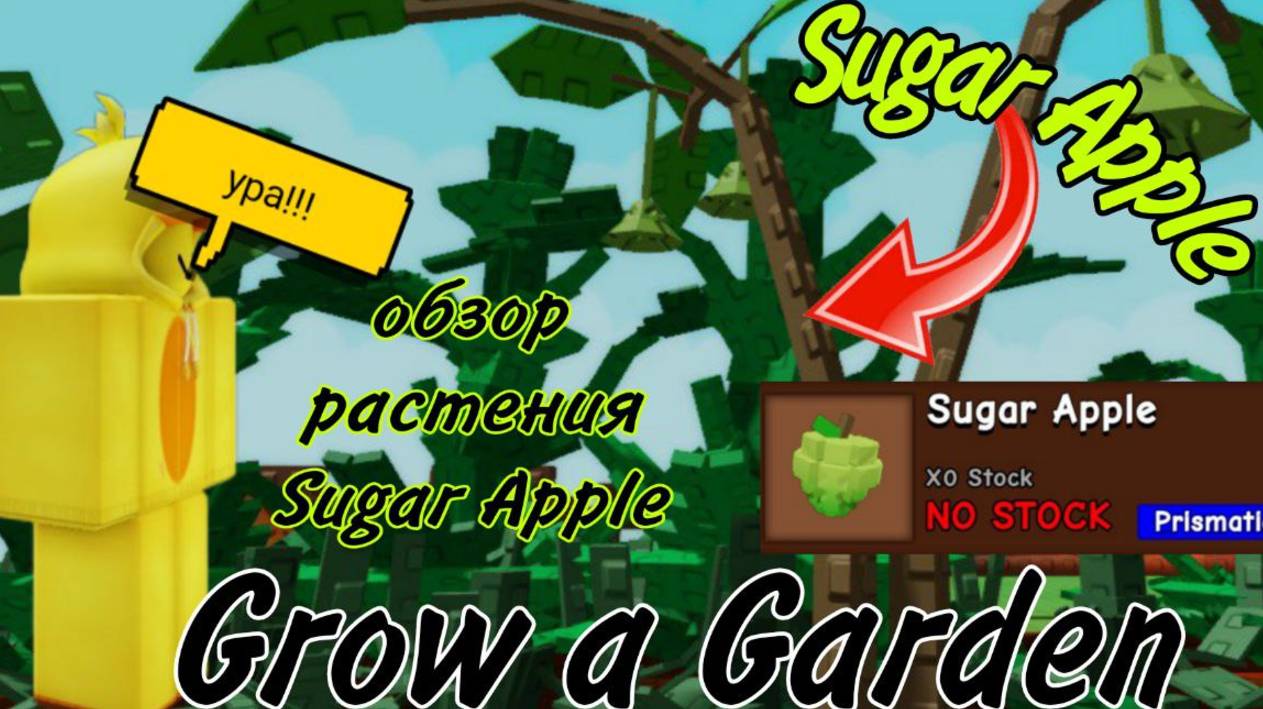ОБЗОР РАСТЕНИЯ SUGAR APPLE В GROW A GARDEN! | GROW A GARDEN| Roblox