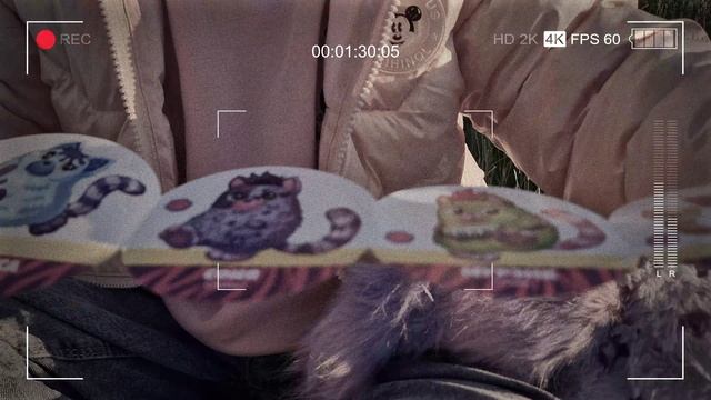 Распаковка котят КЕКС И СОНЯ